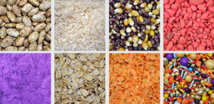 Sensory & Desensitization Kit - Naked Prosthetics