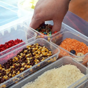 Sensory & Desensitization Kit - Naked Prosthetics